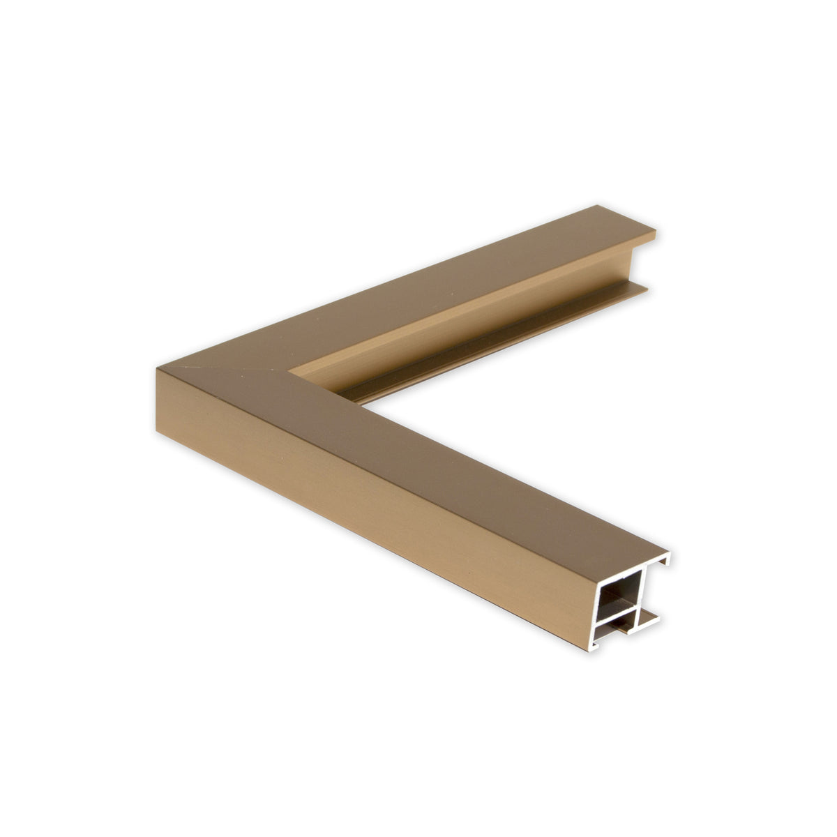 Windham (Champagne Bronze) Sample – Frame My Mirror
